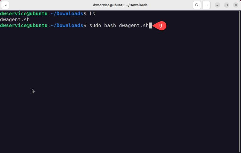 Linux – Install the Agent with Credentials (Graphical User Interface) – DWService – Docs