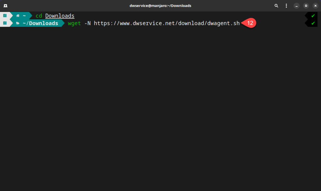 Linux – Install the Agent with Code (console) – DWService – Docs