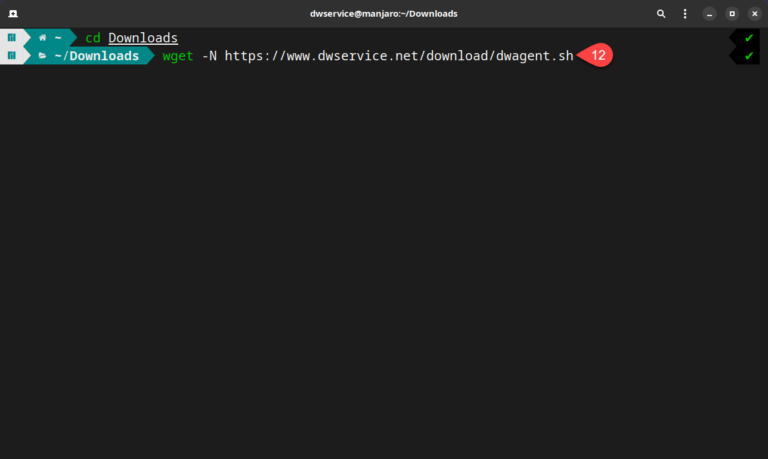 Linux – Install the Agent with Code (console) – DWService – Docs