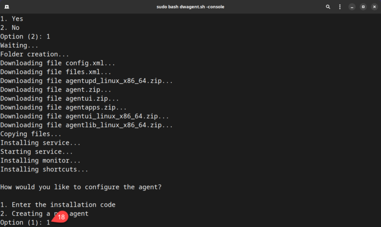 Linux – Install the Agent with Code (console) – DWService – Docs