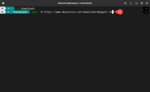 Linux – Install the Agent with Credentials (console) – DWService – Docs